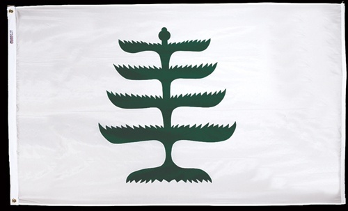 Trigger Warning**** Flags of the American Revolution **** Trigger ...